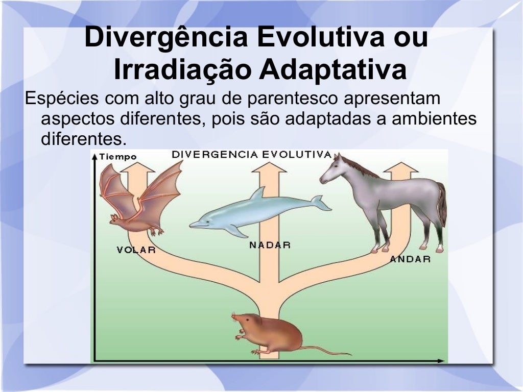 Divergência e Convergência