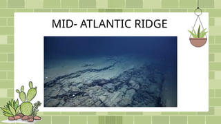 DIVERGENT-BOUNDARY.science.grade 10.pptx