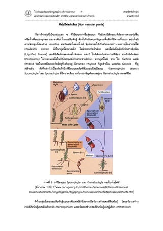 Diver plantae | PDF