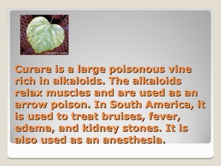 Diverse herbal medicines dr vijaya shastry | PPT