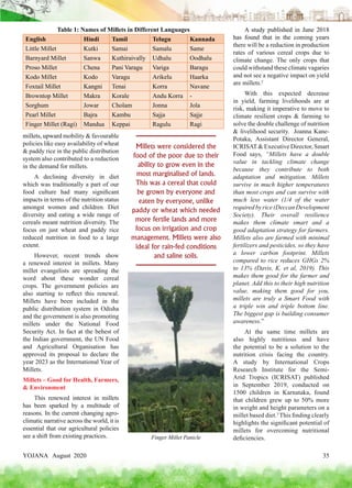 Diverse Millet Culture | PDF