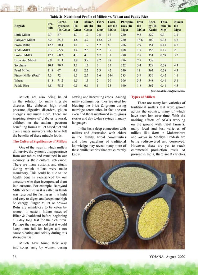 Diverse Millet Culture | PDF