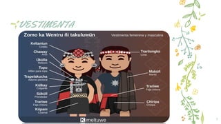 Diversidad-Cultura-Mapuche.pdf