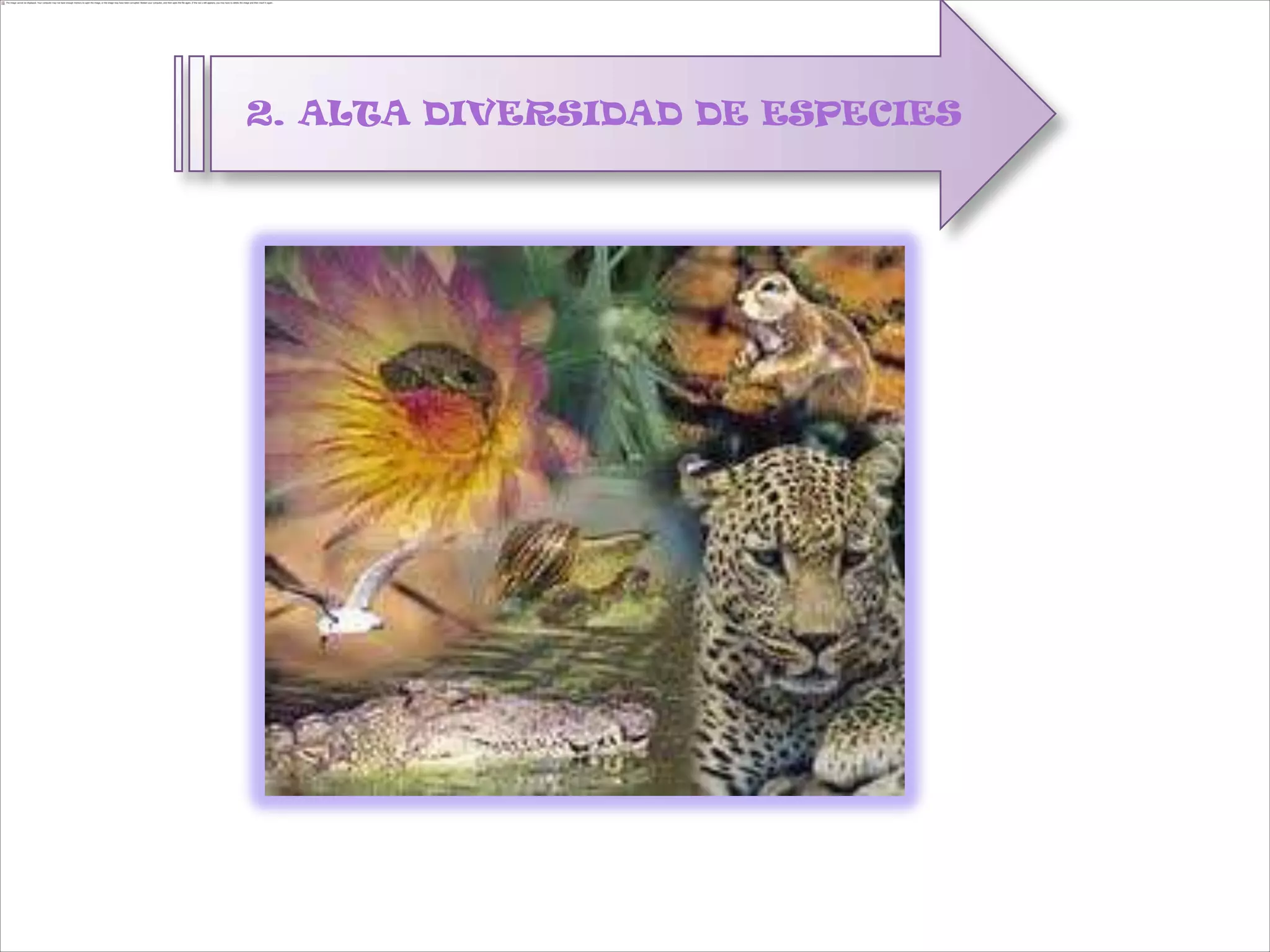 Diversidad cultural en el peru | PPTX