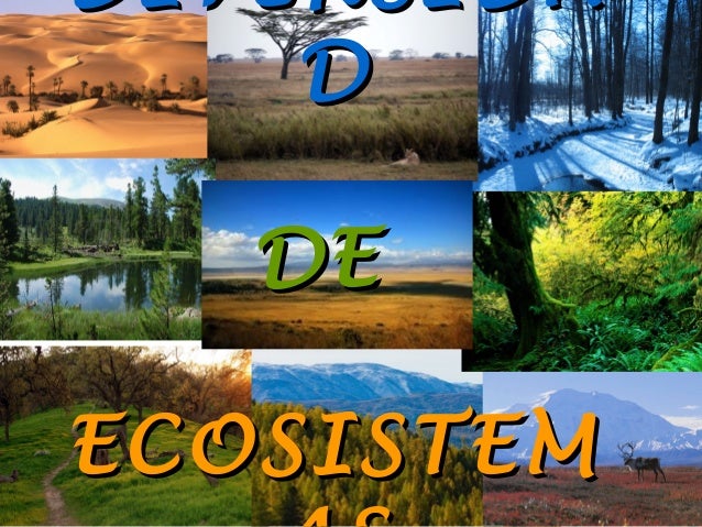 Diversidad De Ecosistemas