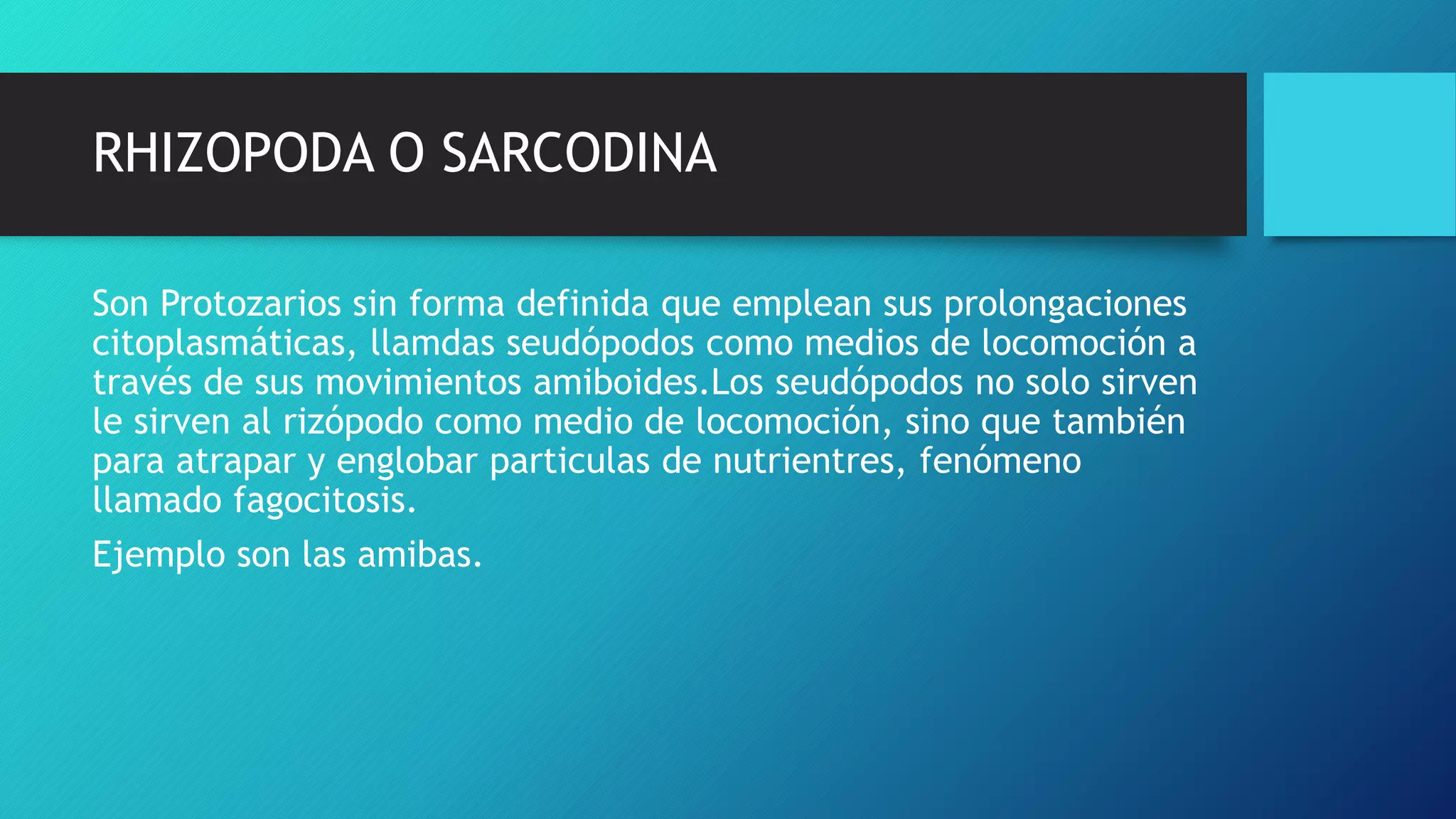 DIVERSIDAD DE LA VIDA.pptx