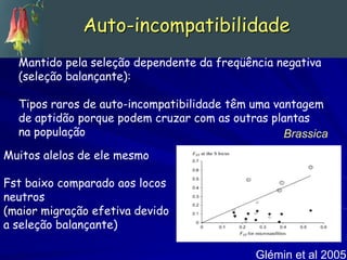 Diversidade sexual vegetal | PDF
