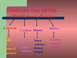 Diversidade éTnica No Brasil E DiscriminaçãO Amanda Susan | PPT