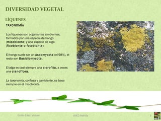 Diversidad Vegetal: Líquenes | PPT