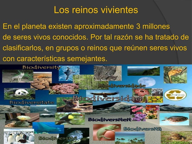 Diversidad y clasificación de los seres vivos | PPT