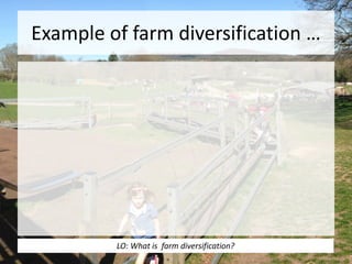 Diversification | PPTX