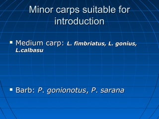 Diversification[1].1 | PPT | Fish and Aquariums | Pets