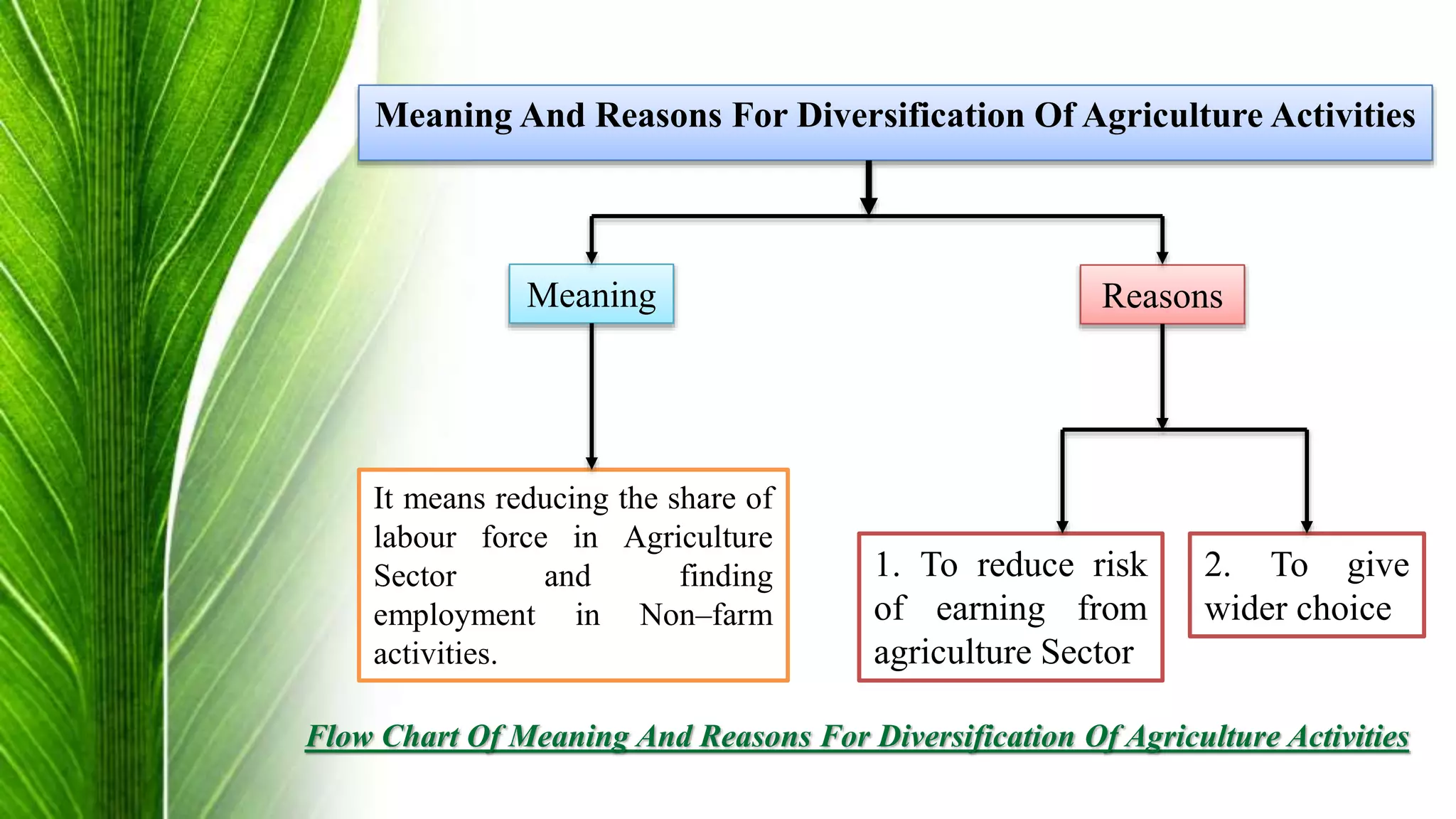 Diversification of Agriculture- Seminar-final.pptx