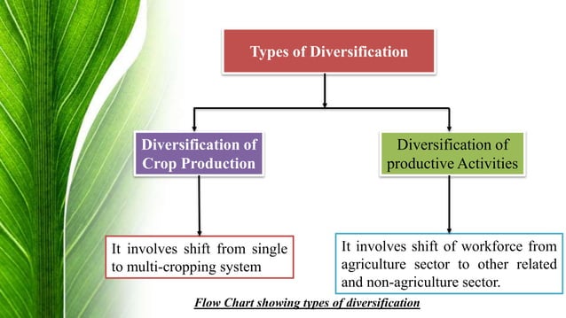 Diversification of Agriculture- Seminar-final.pptx | Agriculture ...