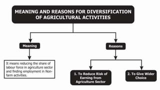 Diversification of agriculture production | PPTX