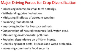 Diversification of agriculture production | PPTX