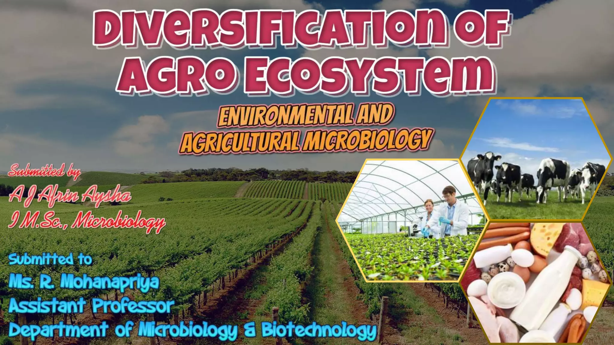 Diversification of Agro Ecosystem | PPT
