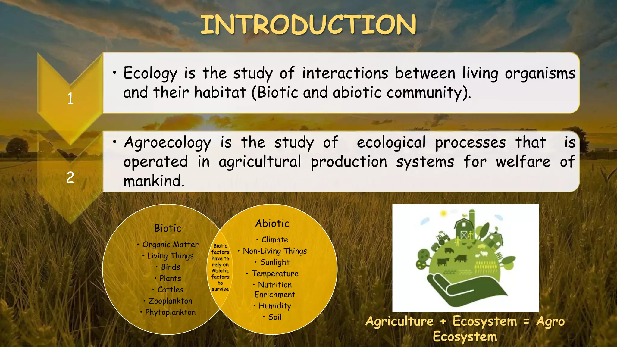 Diversification of Agro Ecosystem | PPT