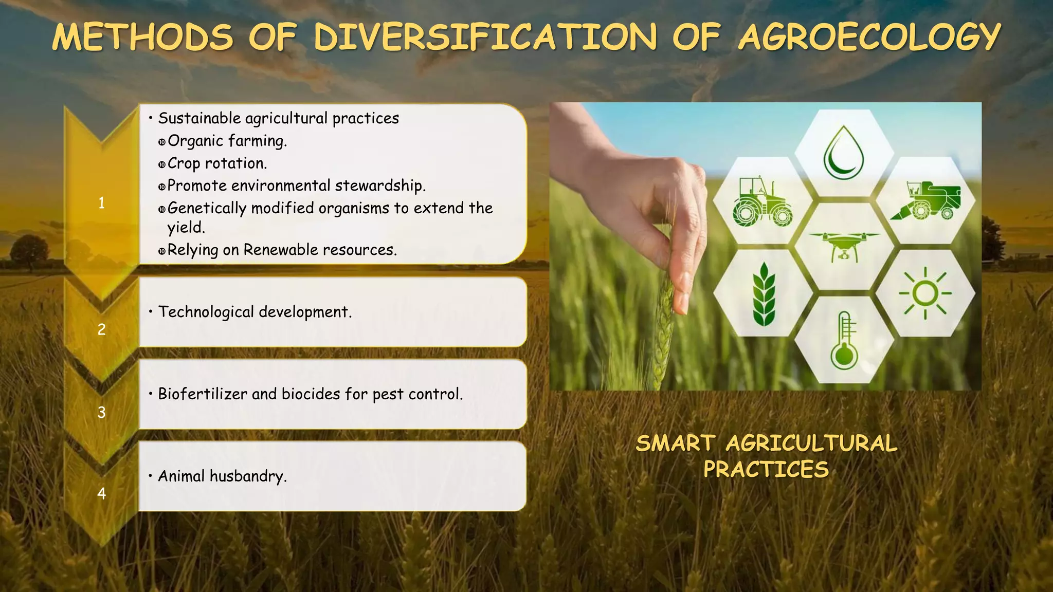 Diversification of Agro Ecosystem | PPT