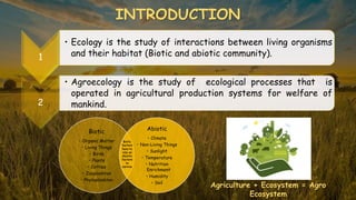 Diversification of Agro Ecosystem | PPT