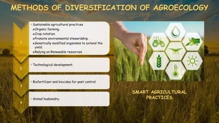 Diversification of Agro Ecosystem | PPT