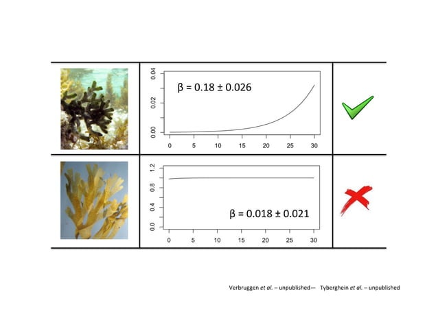 The Ecology and Evolution of Seaweed Diversification | PPT