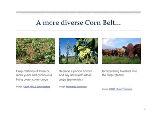 Diversified farming systems bryant | PDF