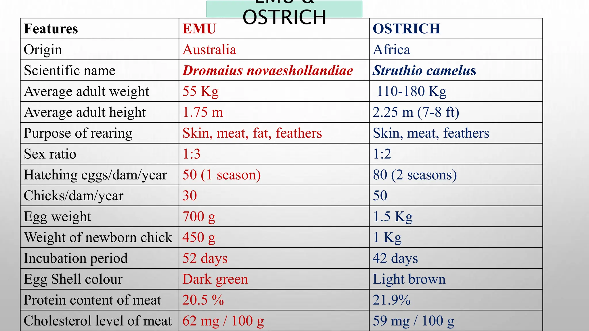 Breeds OF Diversified species of Poultry.pptx