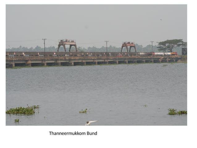 Diversion Headworks - components, functions, examples | PPT