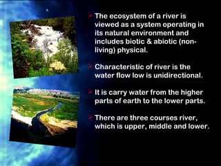 Diversiti edited | PPT