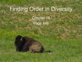 Diversity | PPTX