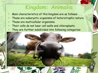 Diversity in living organisms.... | PPSX
