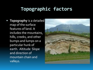 Biodiiversity | PPTX