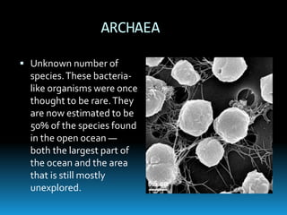 Biodiiversity | PPTX