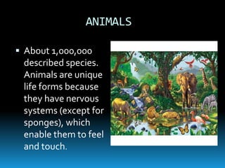 Biodiiversity | PPTX