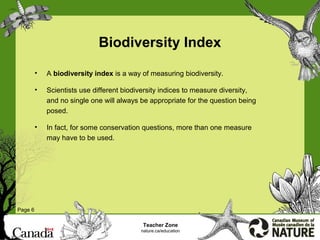 Diversity | PPT