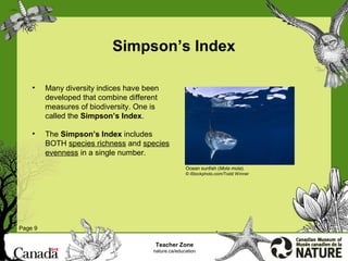 Diversity | PPT