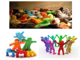 Diversity and biological characteristics | PPT