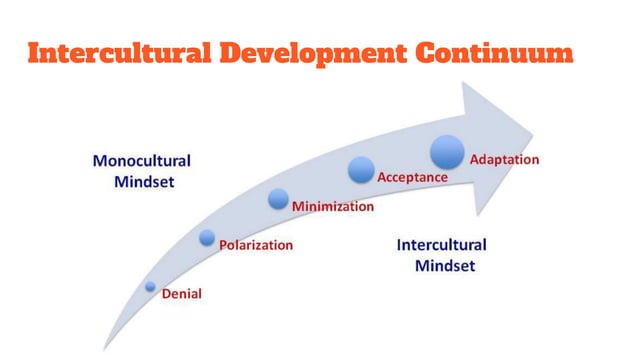 Implementing Diversity & Inclusion at your Workplace | PDF
