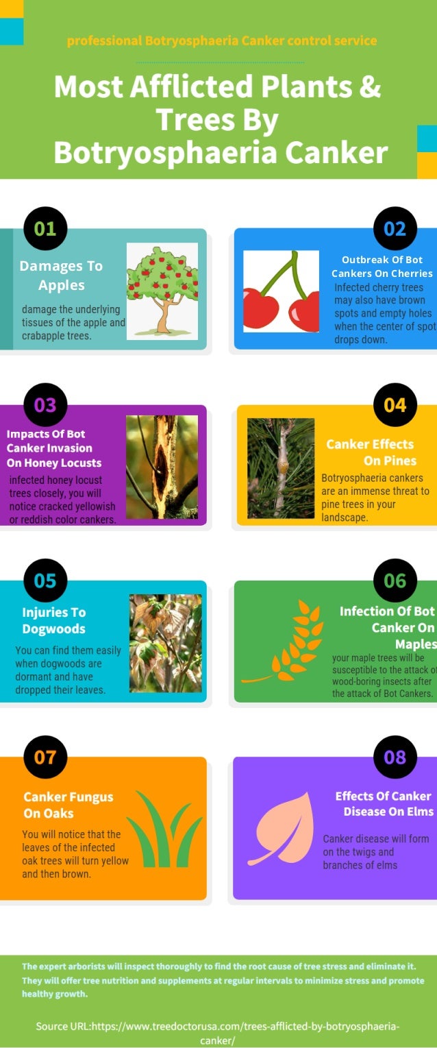 Diversity-and-Inclusion-Best-Practices-Infographic-by-Dustin-Pope ...