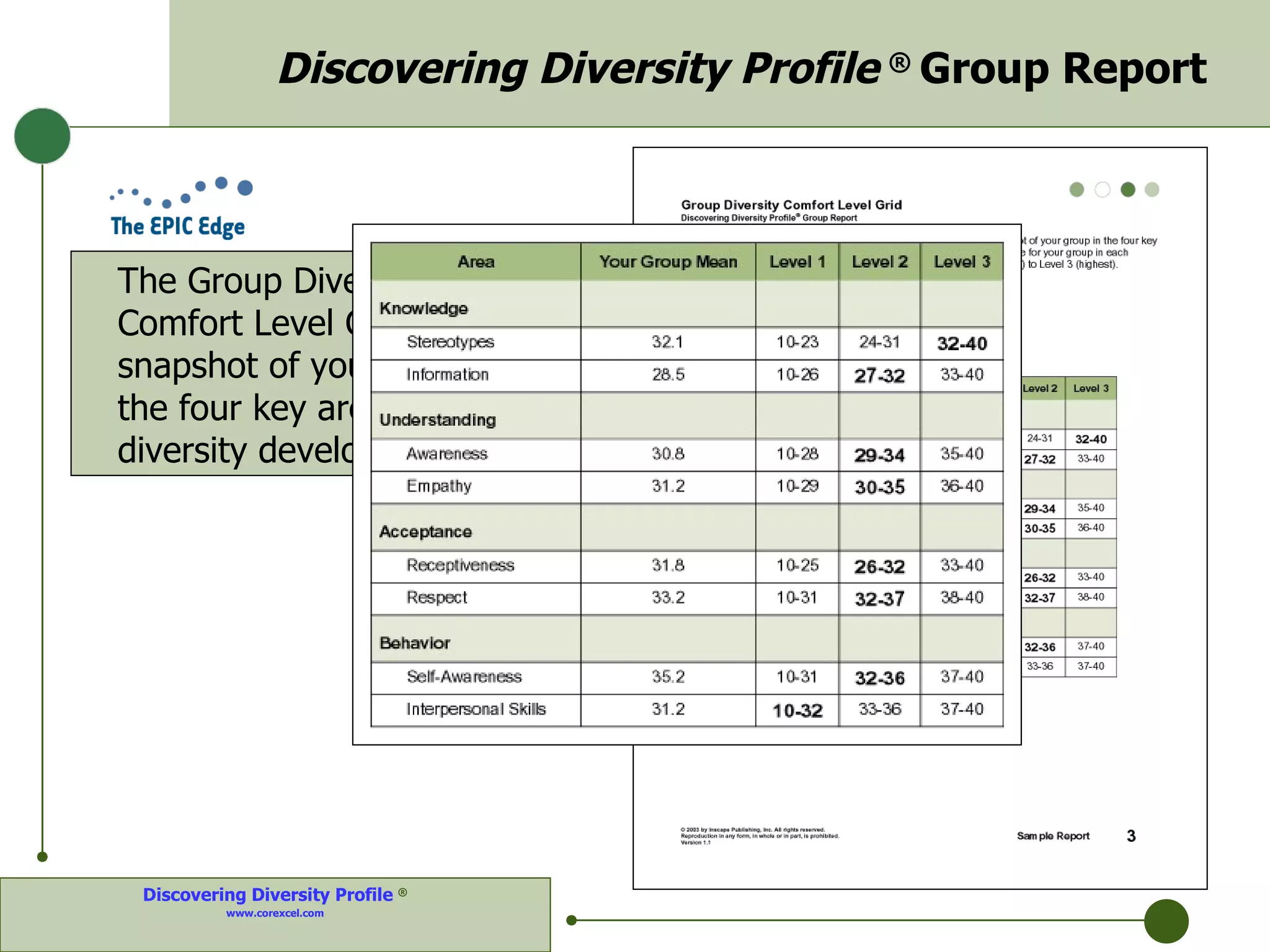 Diversity assessment-profile | PPT