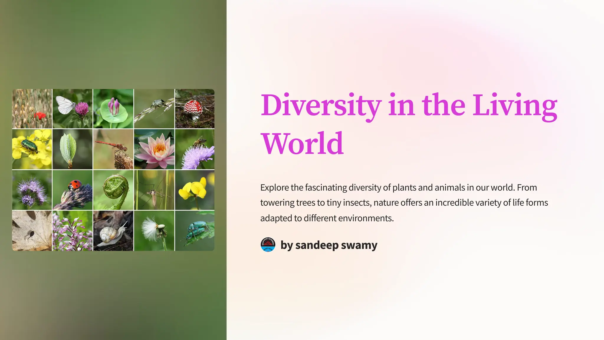 Diversity-in-the-Living-World.pdf 6th class science curiosity | PDF