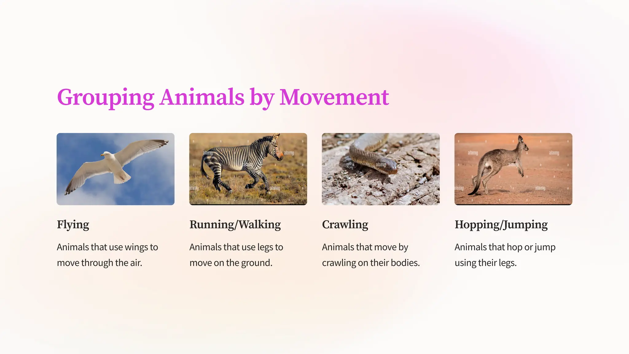 Diversity-in-the-Living-World.pdf 6th class science curiosity | PDF
