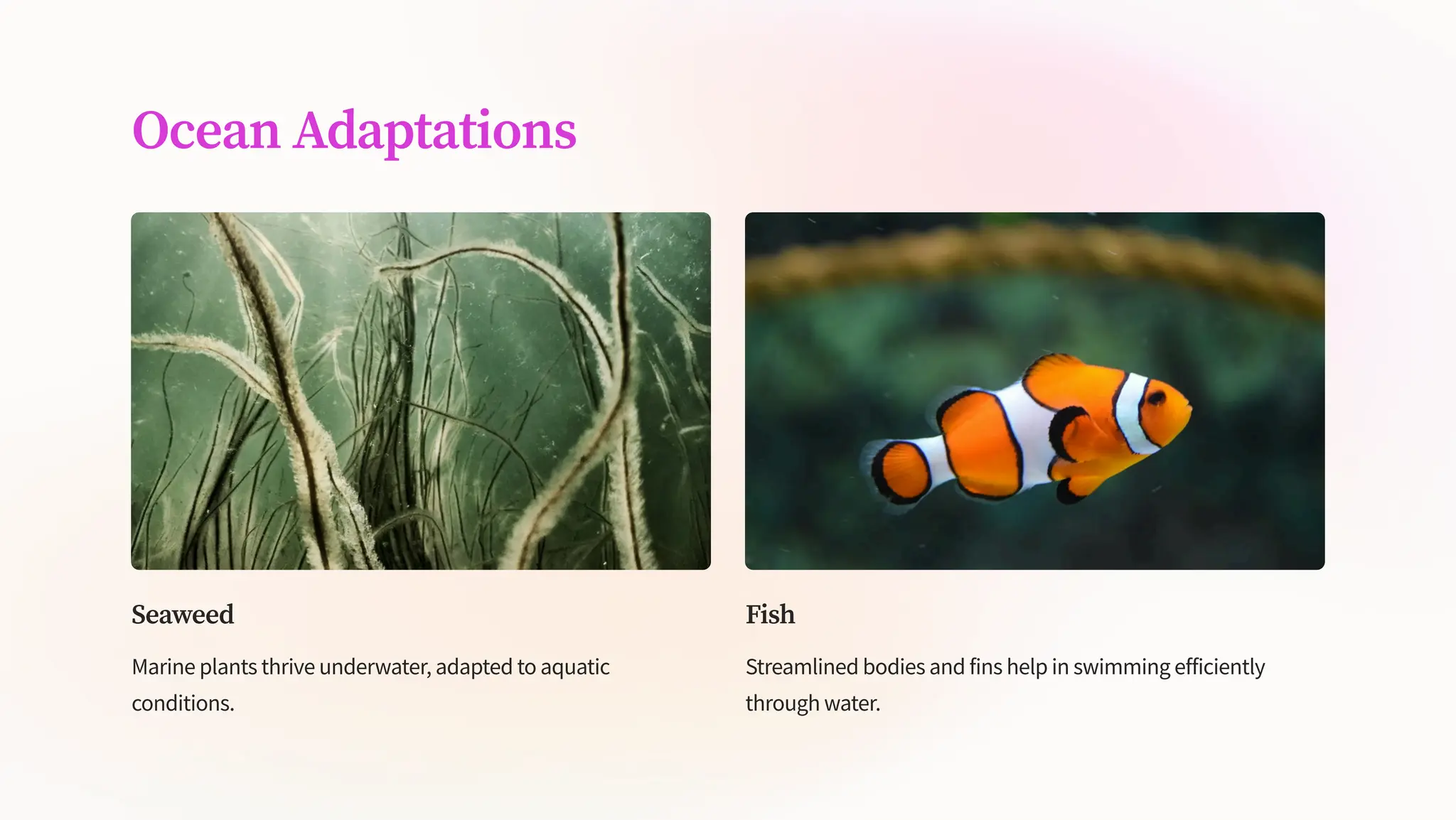 Diversity-in-the-Living-World.pdf 6th class science curiosity | PDF