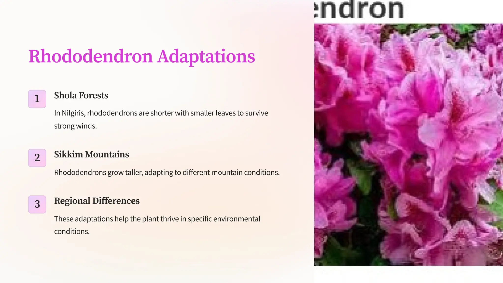 Diversity-in-the-Living-World.pdf 6th class science curiosity | PDF