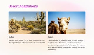 Diversity-in-the-Living-World.pdf 6th class science curiosity | PDF