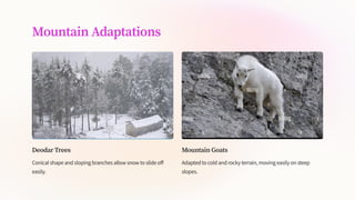 Diversity-in-the-Living-World.pdf 6th class science curiosity | PDF