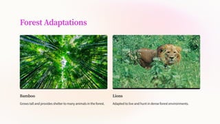 Diversity-in-the-Living-World.pdf 6th class science curiosity | PDF