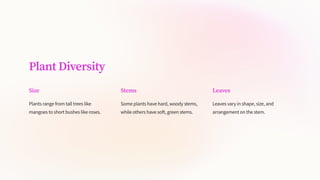 Diversity-in-the-Living-World.pdf 6th class science curiosity | PDF