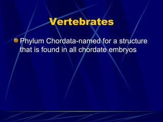 Diversity Of Fish And Amphibians | PPT